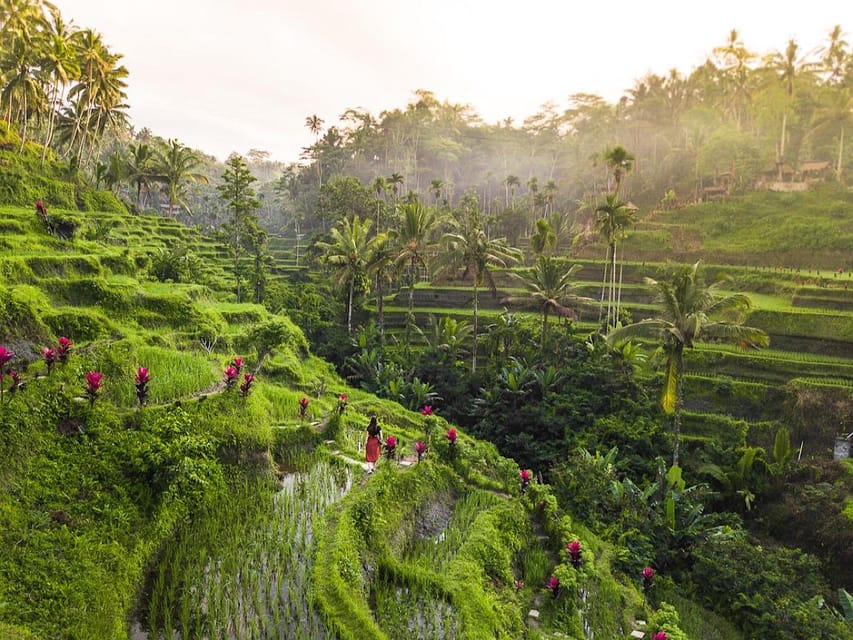 Ubud Bali day trip visiting Temple, Rice terrace & Waterfall | GetYourGuide