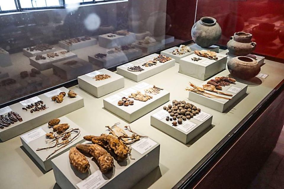 Nazca: Archaeological Excursion & visit to Antonini Museum | GetYourGuide