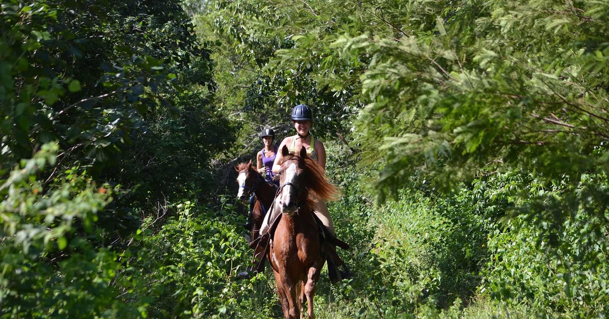 Adrenalina Maya: Caballo, Quad, Tirolinas, Rappel y Cenote | GetYourGuide