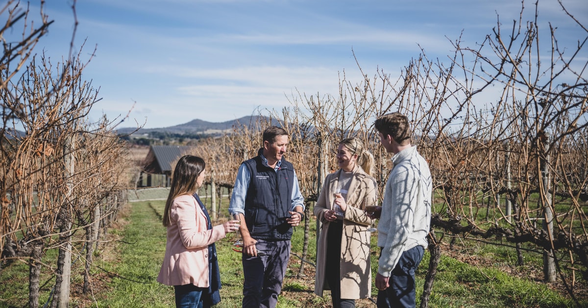 Explore, Swinging Bridge Vineyard Tasting Experience | GetYourGuide