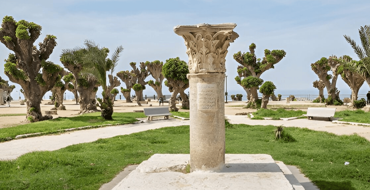 Algiers: 2-Day Tipaza & Cherchell Tour with Meals | GetYourGuide