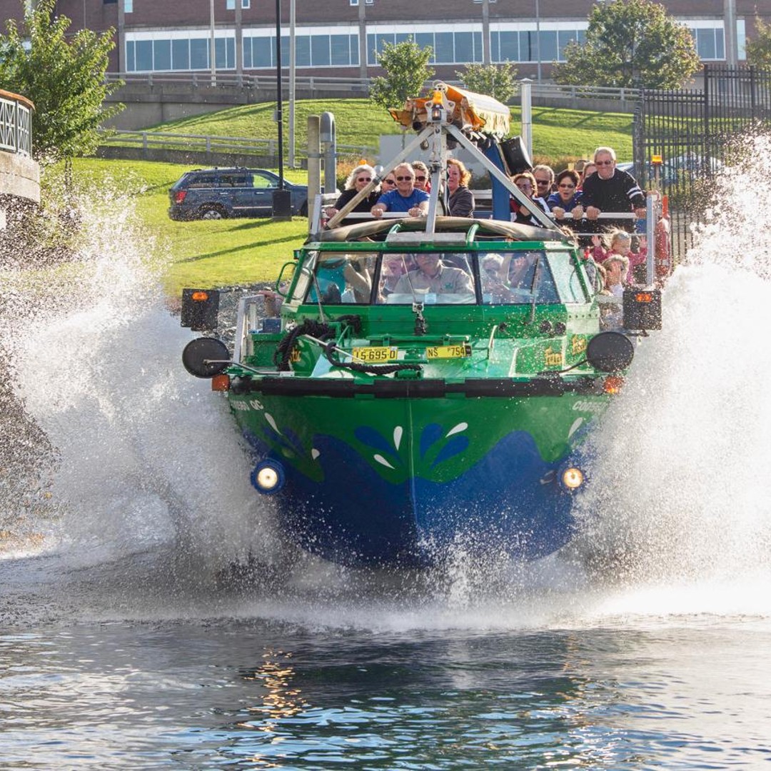 Halifax: Harbour Hopper City & Water Cruise in a Duck Boat | GetYourGuide