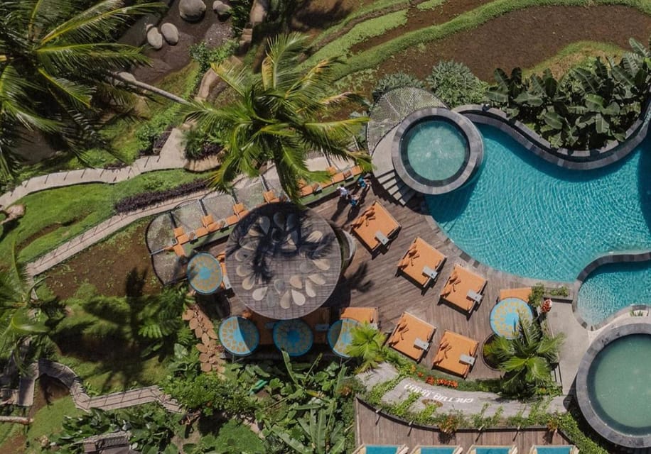 Ubud: Highlights & Cretya Jungle by Alas Arum Day-Tour | GetYourGuide