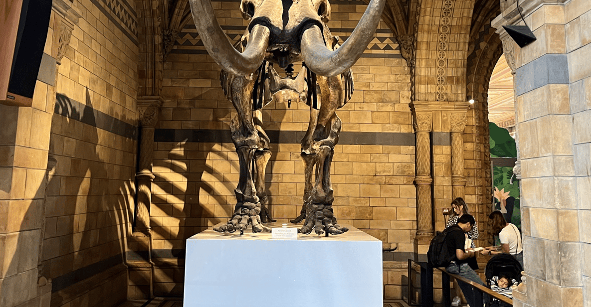 Schetstocht in het Natural History Museum & sla de rij over | GetYourGuide