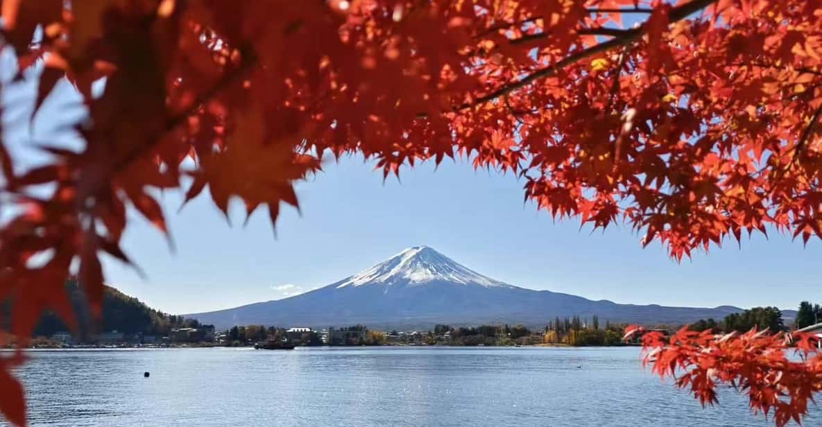 Tokyo: Privat dagsudflugt til Hakone-bjerget og Ashi-søen | GetYourGuide