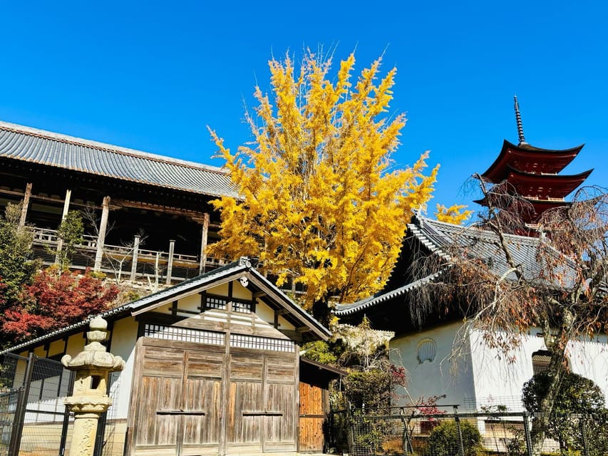 Miyajima one day tour | GetYourGuide