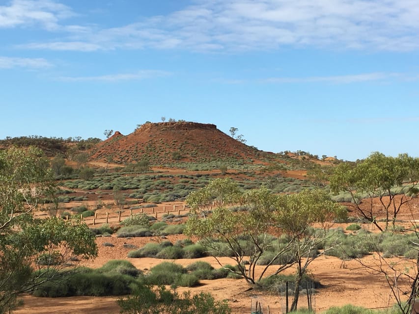 Dinosaur Stampede Half Day Tour - Dino Dash | GetYourGuide