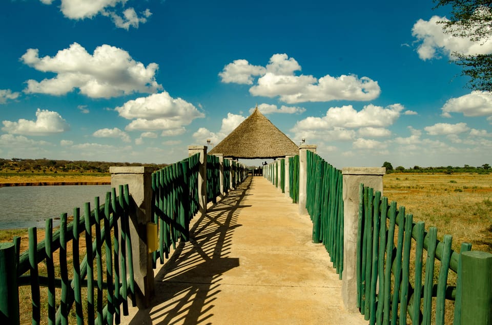 8 Days Kenya: Bush & Beach Safari Amboseli,Tsavo East &Diani | GetYourGuide