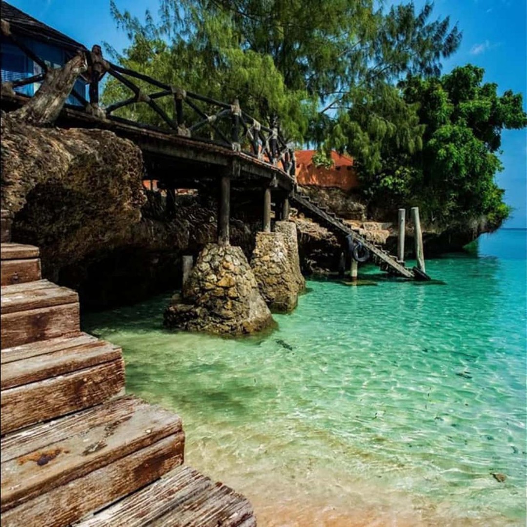 ZANZIBAR: Prison Island visit & Uzi Mangrove Kayak Tour | GetYourGuide