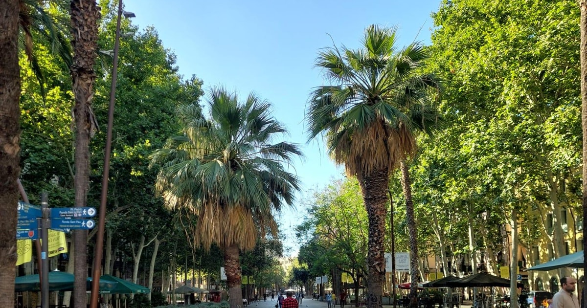 Los secretos del Raval | GetYourGuide