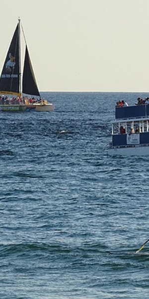 From Panama City, FL: Shell Island Ferry | GetYourGuide