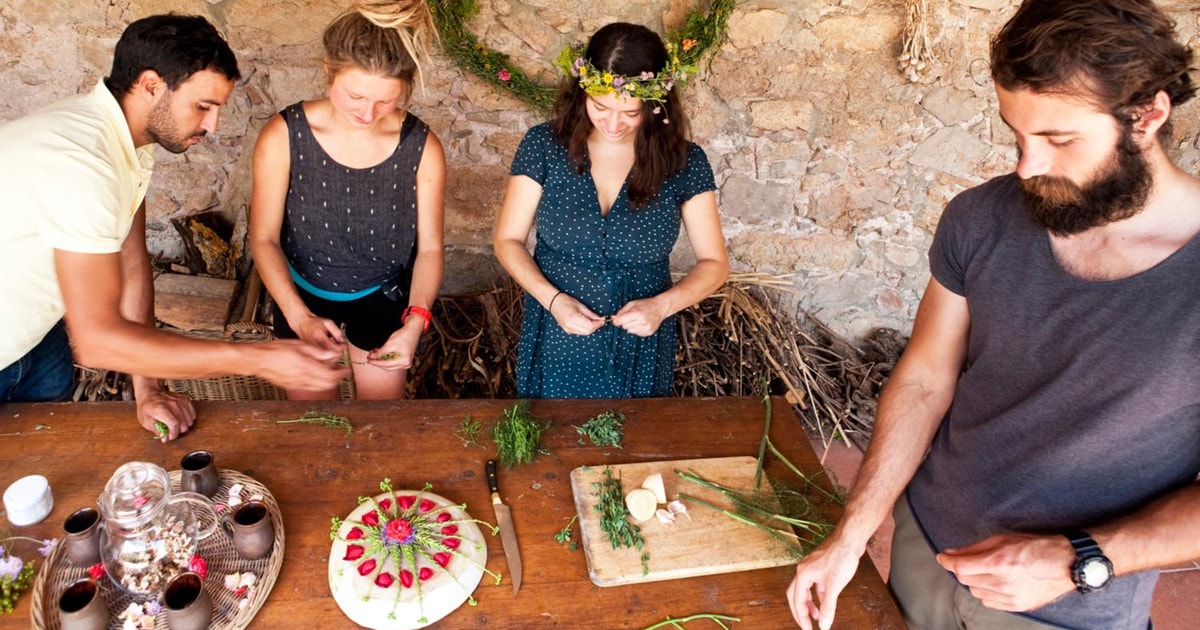 Wild beleven: ontdek, kook & eet de lokale wilde flora | GetYourGuide