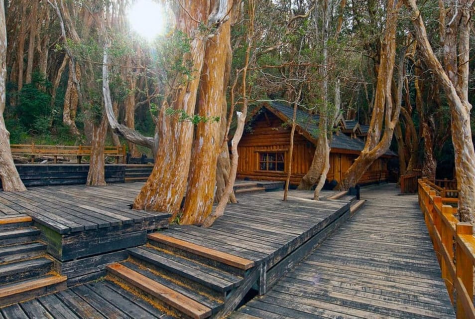 Villa la Angostura: Bosque de Arrayanes Gezisi | GetYourGuide