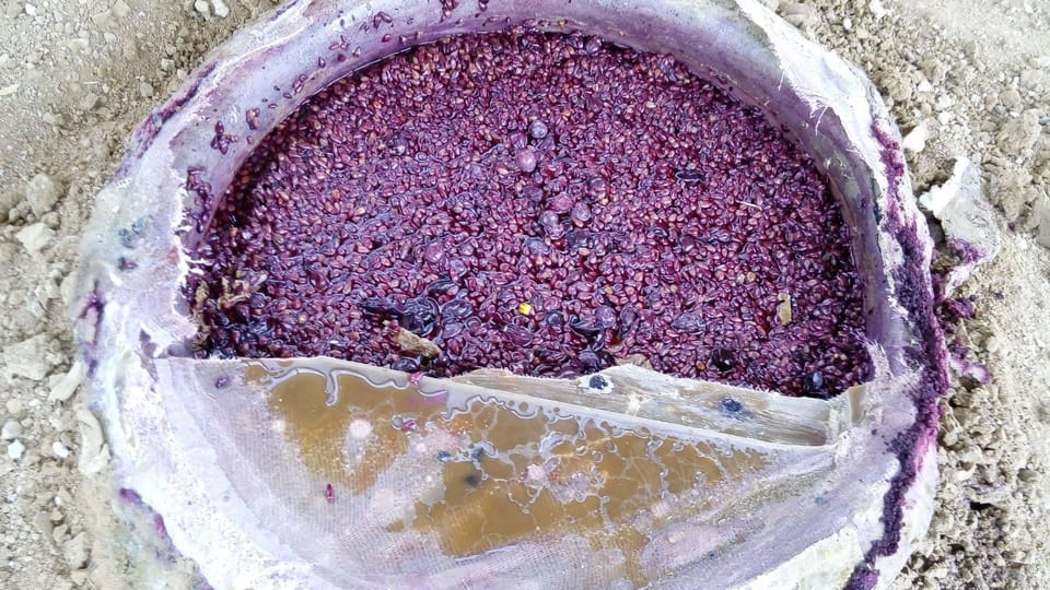 Wine Tasting in Areni Armenia: A Symphony of Tastes | GetYourGuide