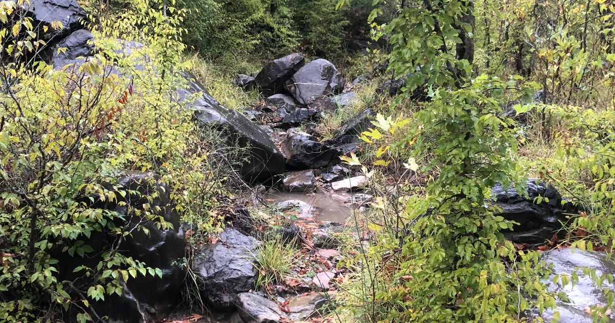 Tour della funivia del Dajti e della cascata di Shengjergj con pranzo ...