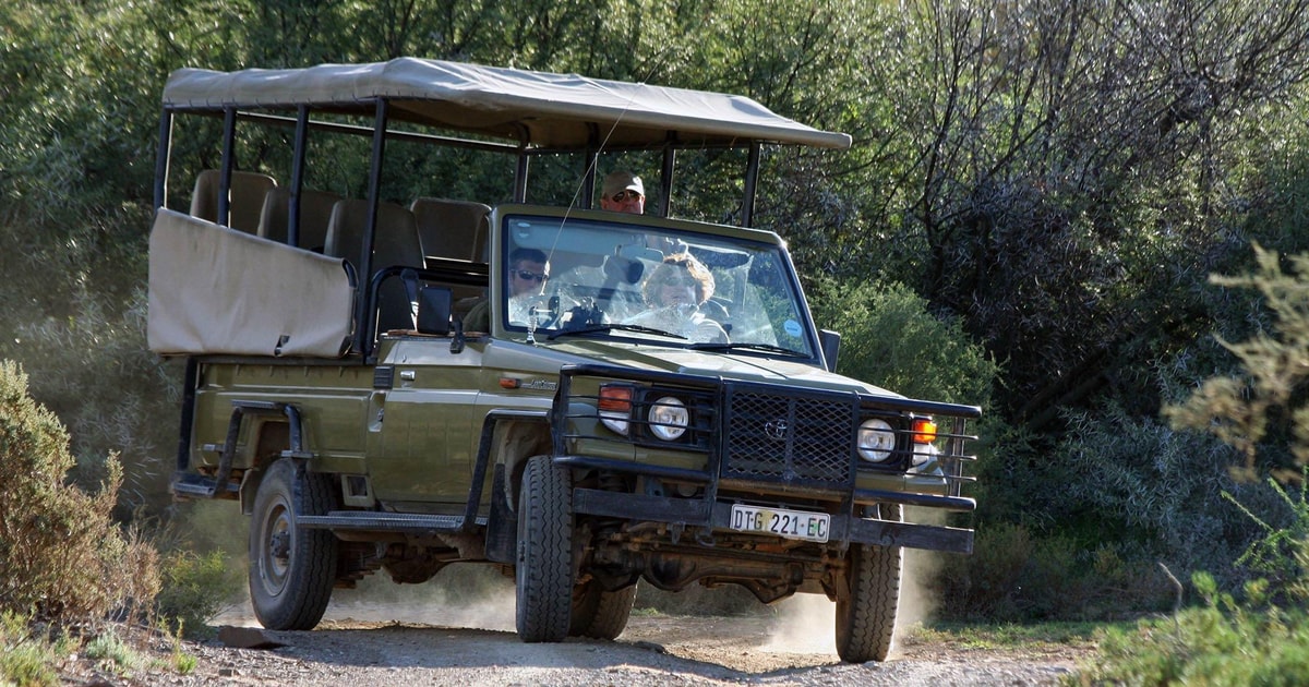 Ballito: Zipline, Game Drive, and Museum Tour | GetYourGuide