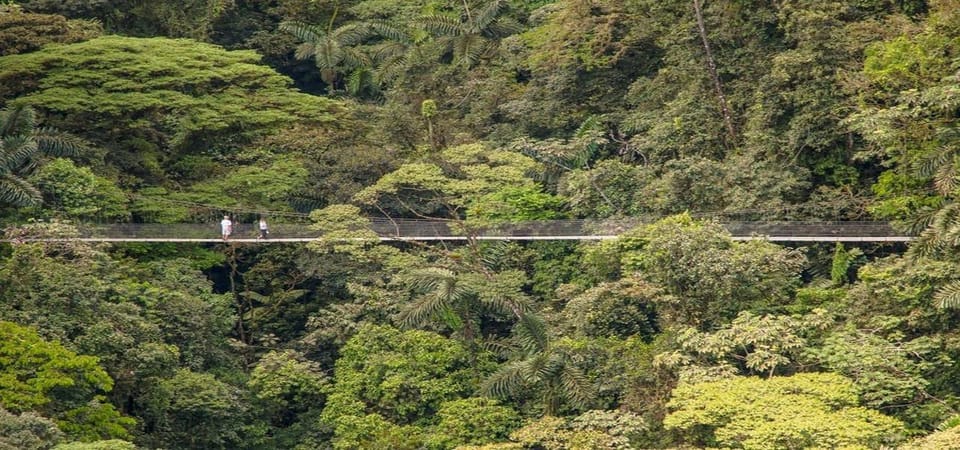 Hanging Bridges Mistico Park and Canopy | GetYourGuide