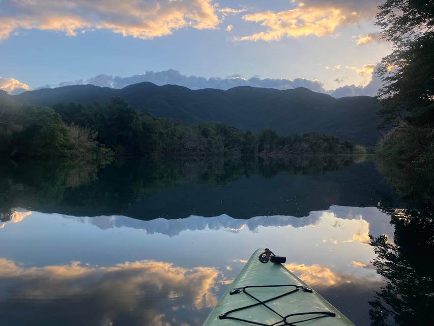 Amami: Morning Mangrove Kayaking Tour | GetYourGuide