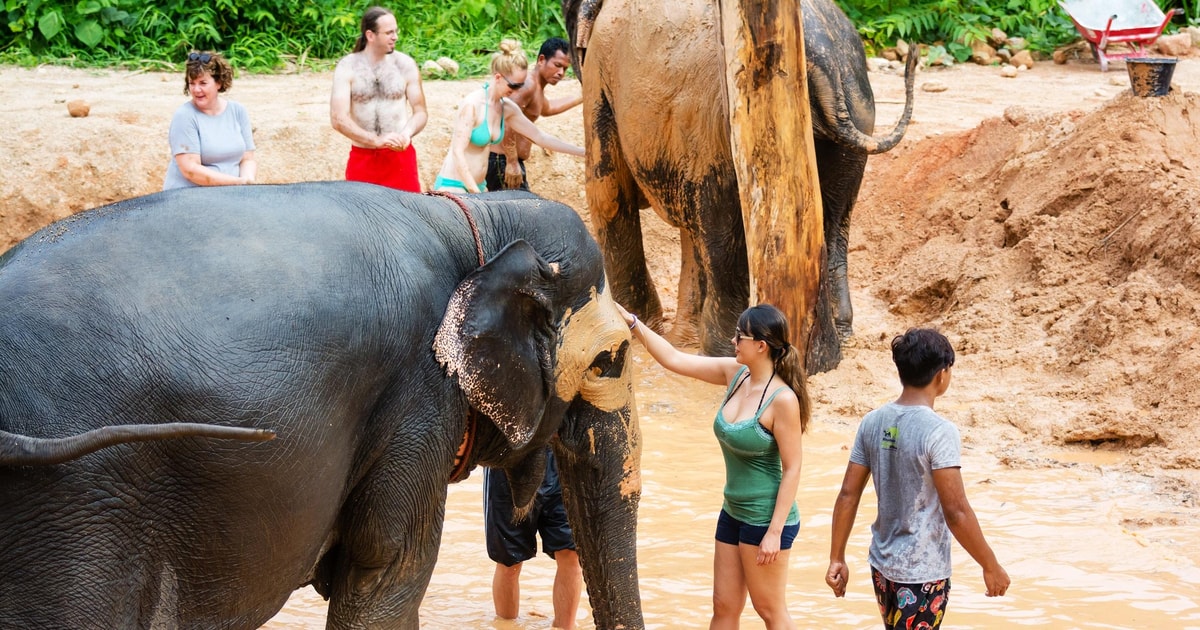 Phuket: Phuket Elephant Sanctuary, Wat Chalong & more | GetYourGuide