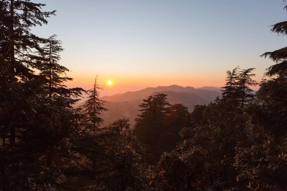 Mussoorie Nature Trails (2 Hour Guided Walking Tour) | GetYourGuide