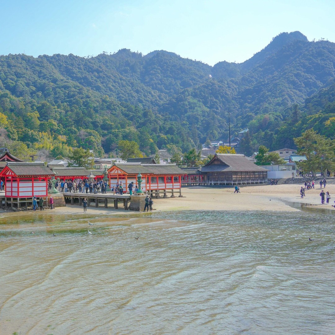 Day Trip to Hiroshima & Miyajima with Itsukushima Shrine | GetYourGuide