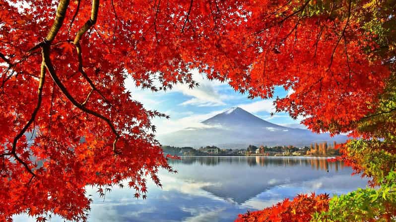 De Tóquio: Excursão de um dia ao Monte Fuji e ao Lago Kawaguchi Ropeway | GetYourGuide
