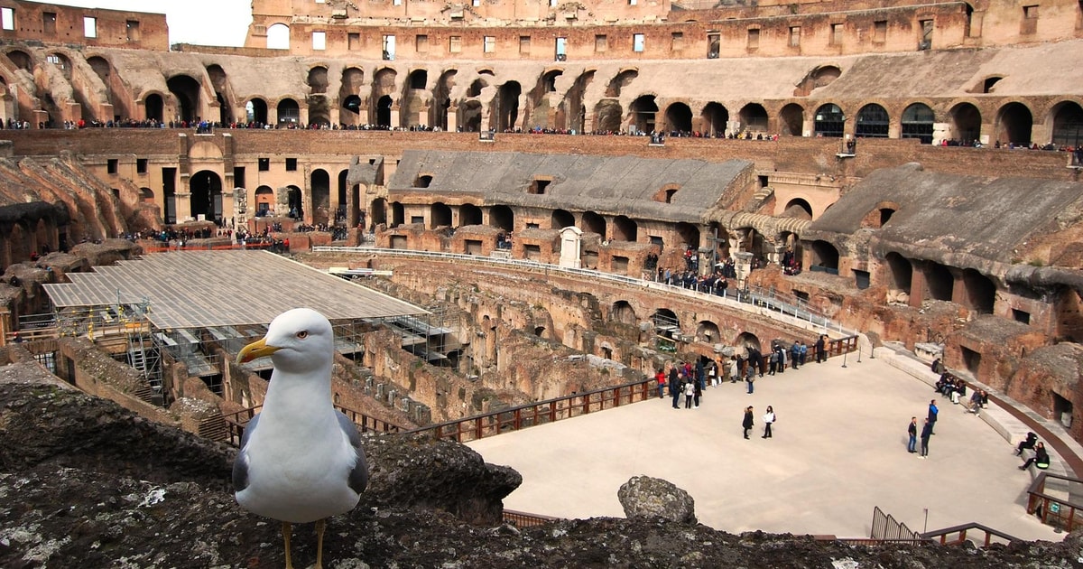 Colosseum Full Experience Underground Tour | GetYourGuide