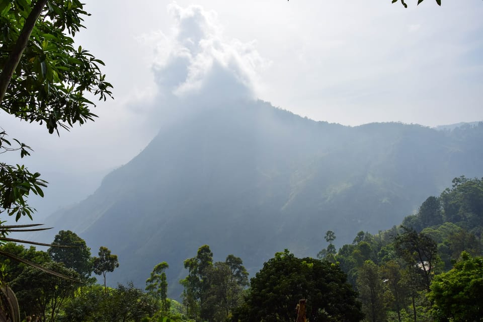Waterfall Abseiling in Kitulgala | GetYourGuide