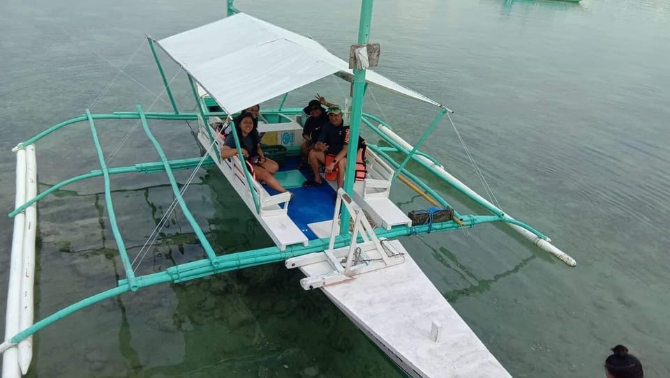 Cebu:Whaleshark Dive, Tumalog Falls Beauty & Sumilon Island | GetYourGuide