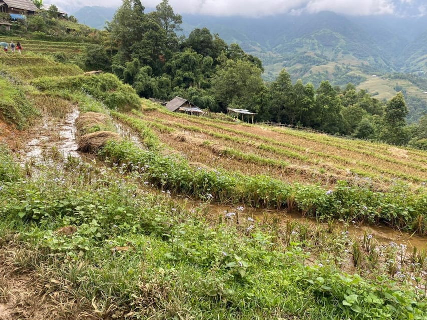 From Sapa : Sapa 1-Day trekking Lao Chai & Ta Van Villages | GetYourGuide