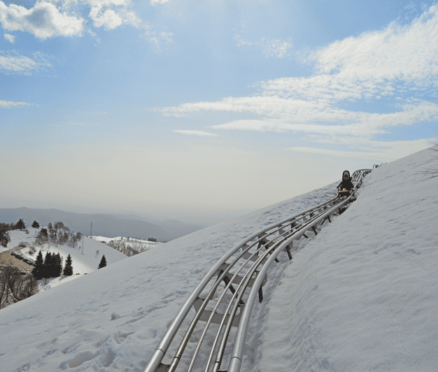 Stresa : Alpyland Alpine Coaster Ride on Mount Mottarone | GetYourGuide