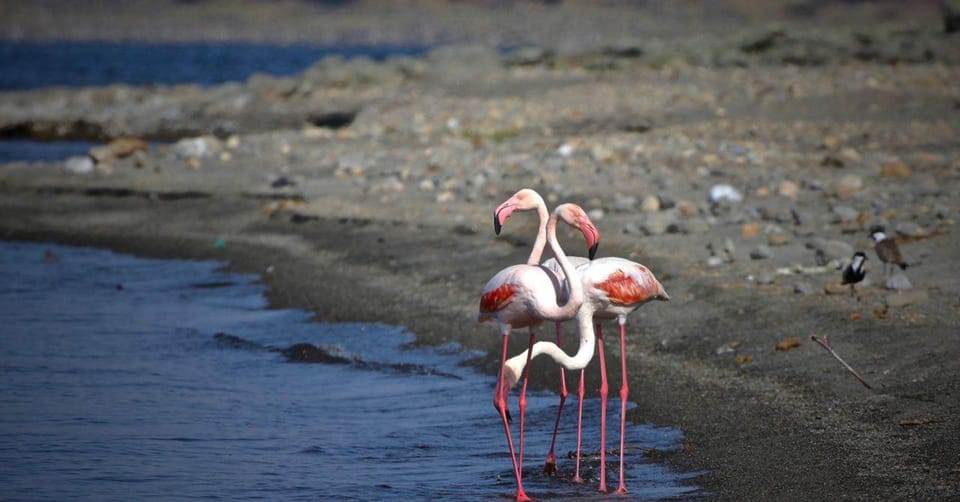 Escursione privata di un giorno per visitare il meraviglioso lago ...