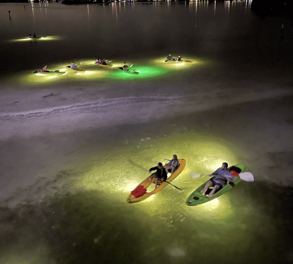 Clearwater Beach: Glass Bottom LED Kayak Night Tour | GetYourGuide