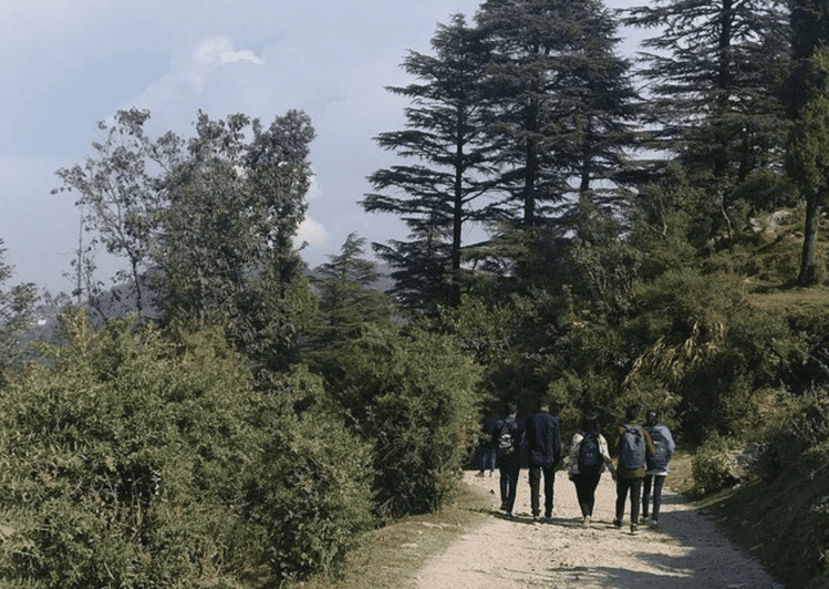 Guided Haunted & Mysterious Walking Tour of Mussoorie | GetYourGuide
