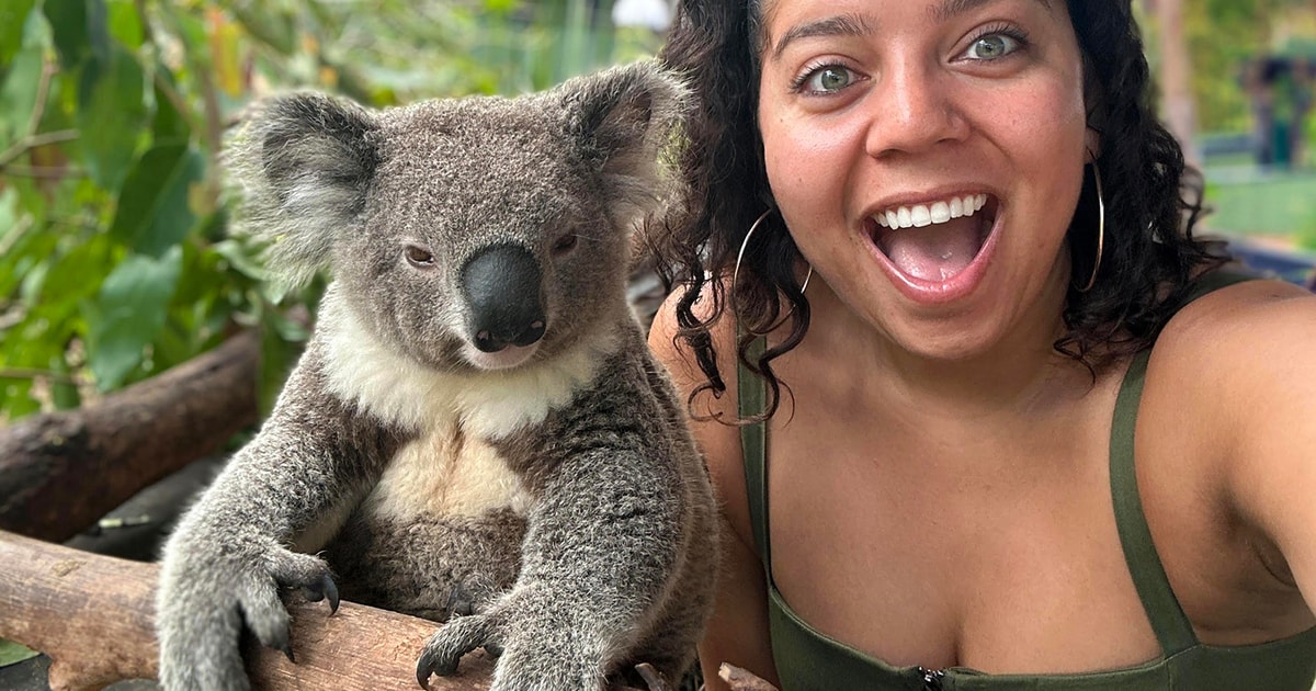 Sydney: Nature and Wildlife - Australia in One Day | GetYourGuide