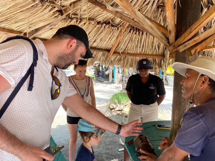 Ecotoer en vissen in de natuurlijke mangrove van Cartagena | GetYourGuide