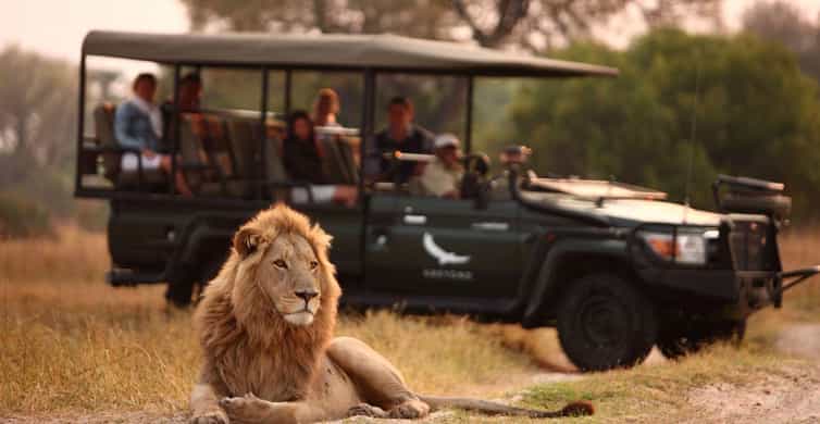 Natal Lion Park, Cato Ridge, KwaZulu-Natal - Reserva de entradas y ...