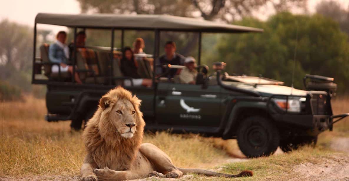 Half-day Tala Game Reserve & Lion Park Safari from Durban | GetYourGuide