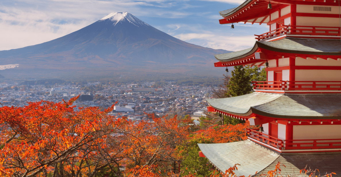 Tokio: El Monte Fuji y los Cinco Lagos de Fuji, tour privado de día completo | GetYourGuide