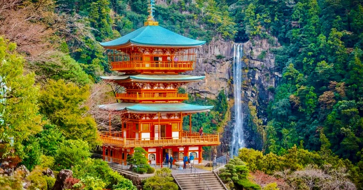Wakayama: Tour zum Berg Koya und zu den versteckten Nachi-Wasserfällen ...