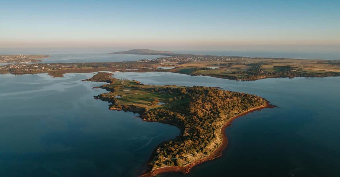Melbourne: Pingvinparade og tur til Churchill Island Farm | GetYourGuide