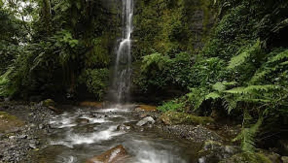 Mount Meru Waterfall Hike | GetYourGuide