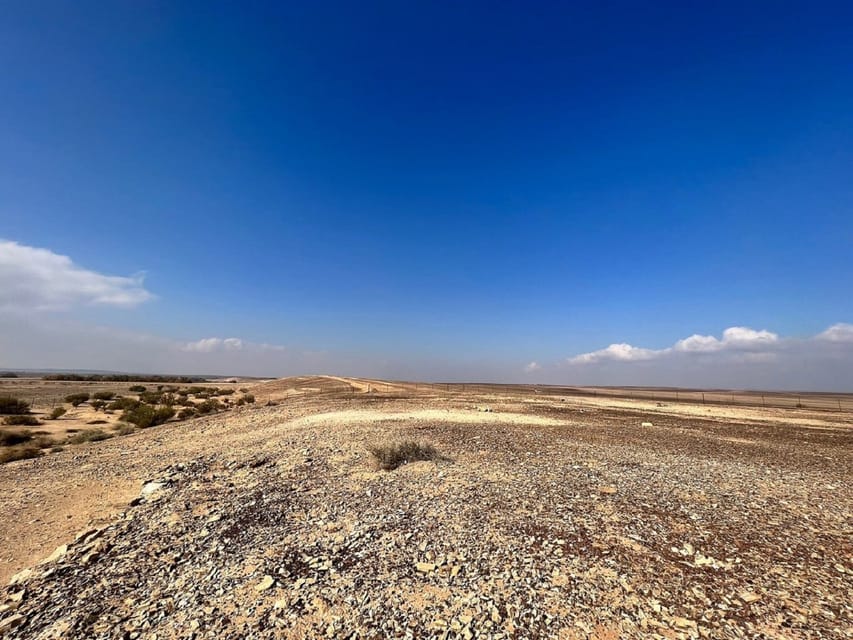 Amman - Desert Castles & Azraq Wetland Reserve Full Day Trip | GetYourGuide