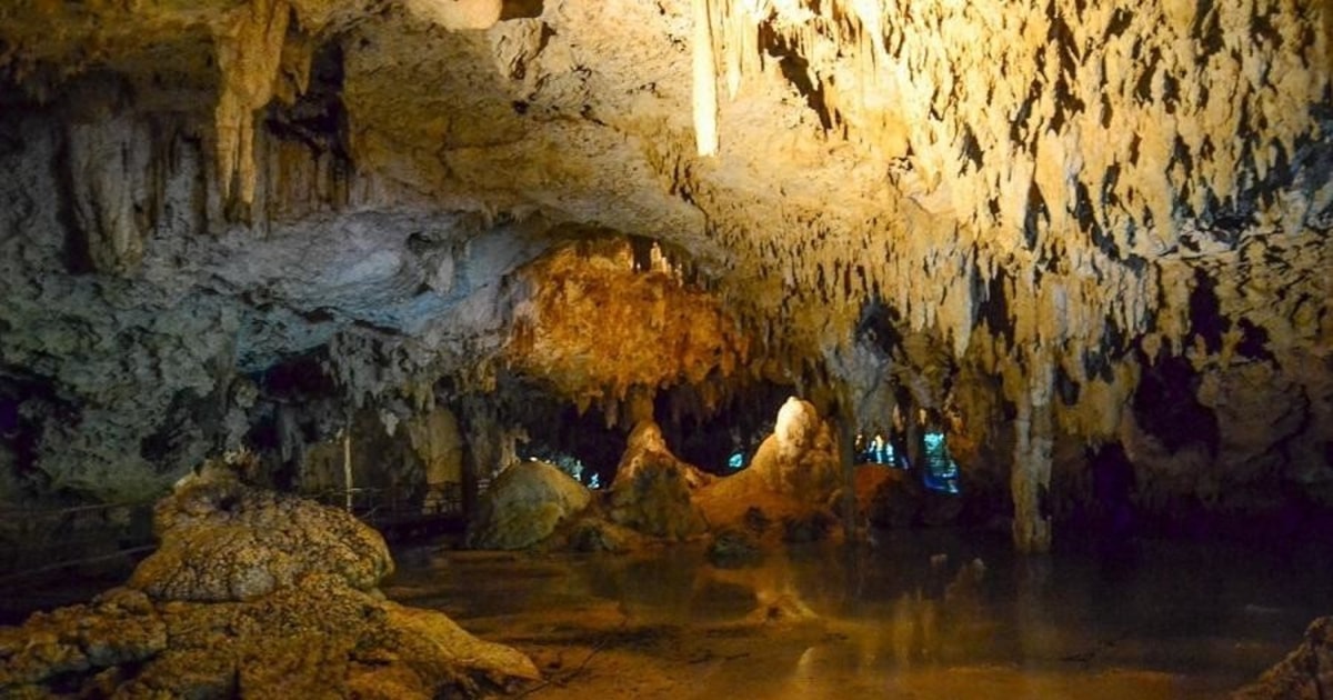 Tulum Reef Snorkeling and Cenote | GetYourGuide