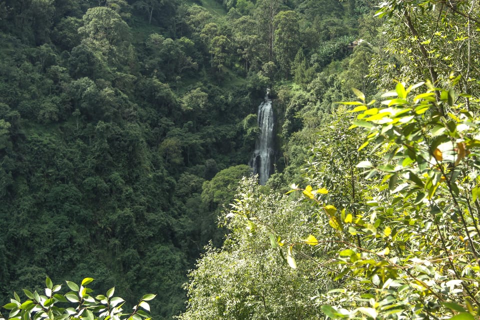 Moshi: A Day Tour To Materuni Waterfall | GetYourGuide