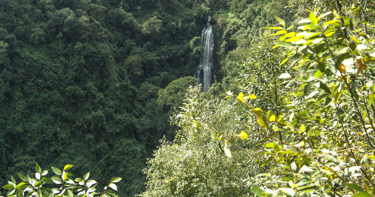 Moshi: Excursión de un día a la Cascada Materuni | GetYourGuide