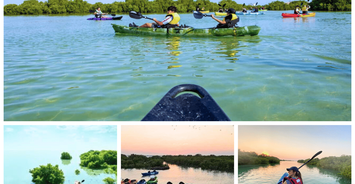 Qatar: Al Thakira Mangrove Forest Kayaking Tour | GetYourGuide