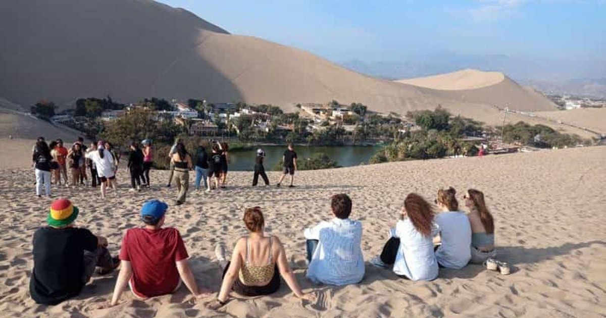 From Lima: Ballestas Islands, Huacachina, and Wine Tour | GetYourGuide
