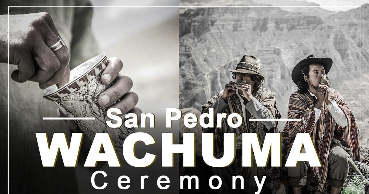 In Cusco: Wachuma Ceremony (San Pedro) with Pickup Full-Day | GetYourGuide