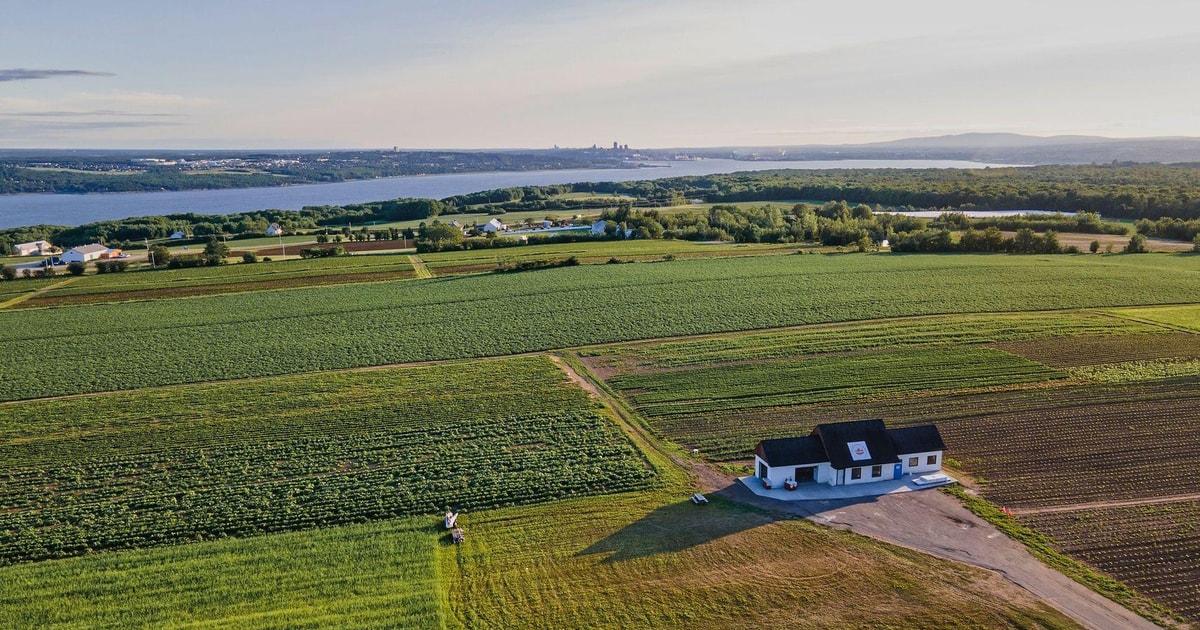 Quebec City - Agricultural Walking Tours on ile d'Orleans | GetYourGuide